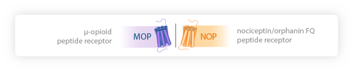 Innovative Pain Treatments | Tris Pharma